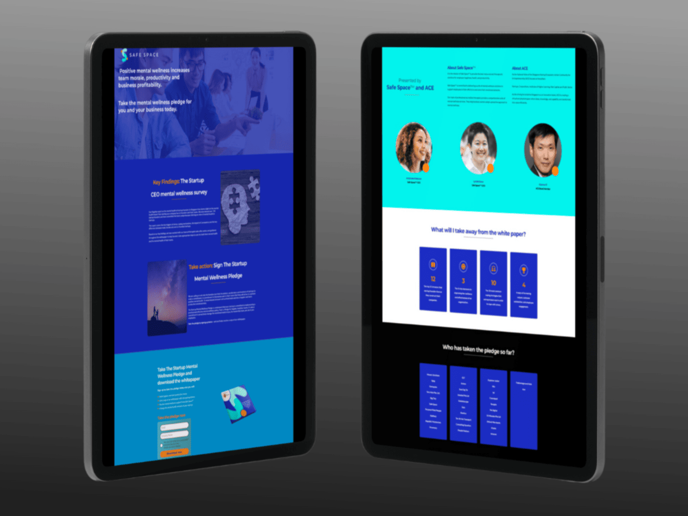 Enhancing Sales Efficiency: Safe Space's CRM Implementation for ...
